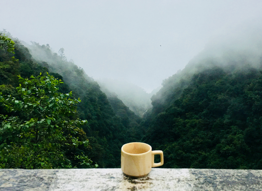 Blue Moon Tea & Cookies Shop Online – bluemoonteas.com